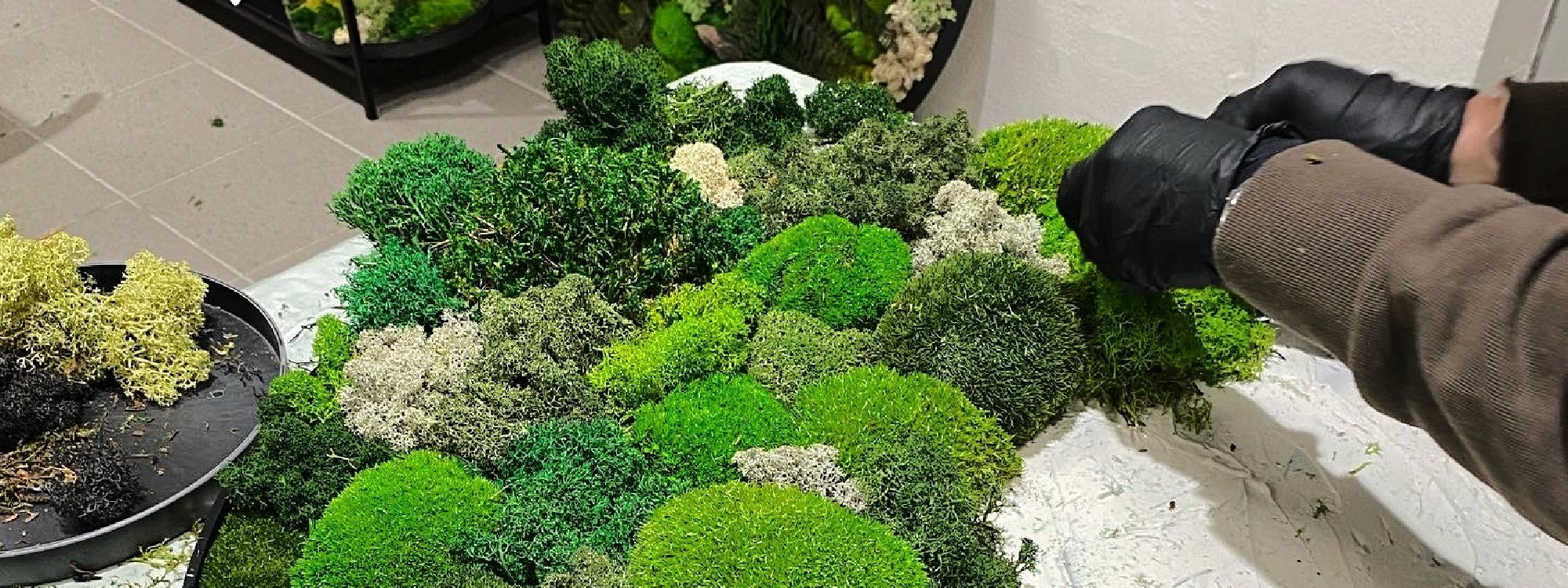 Forside - House of Degns